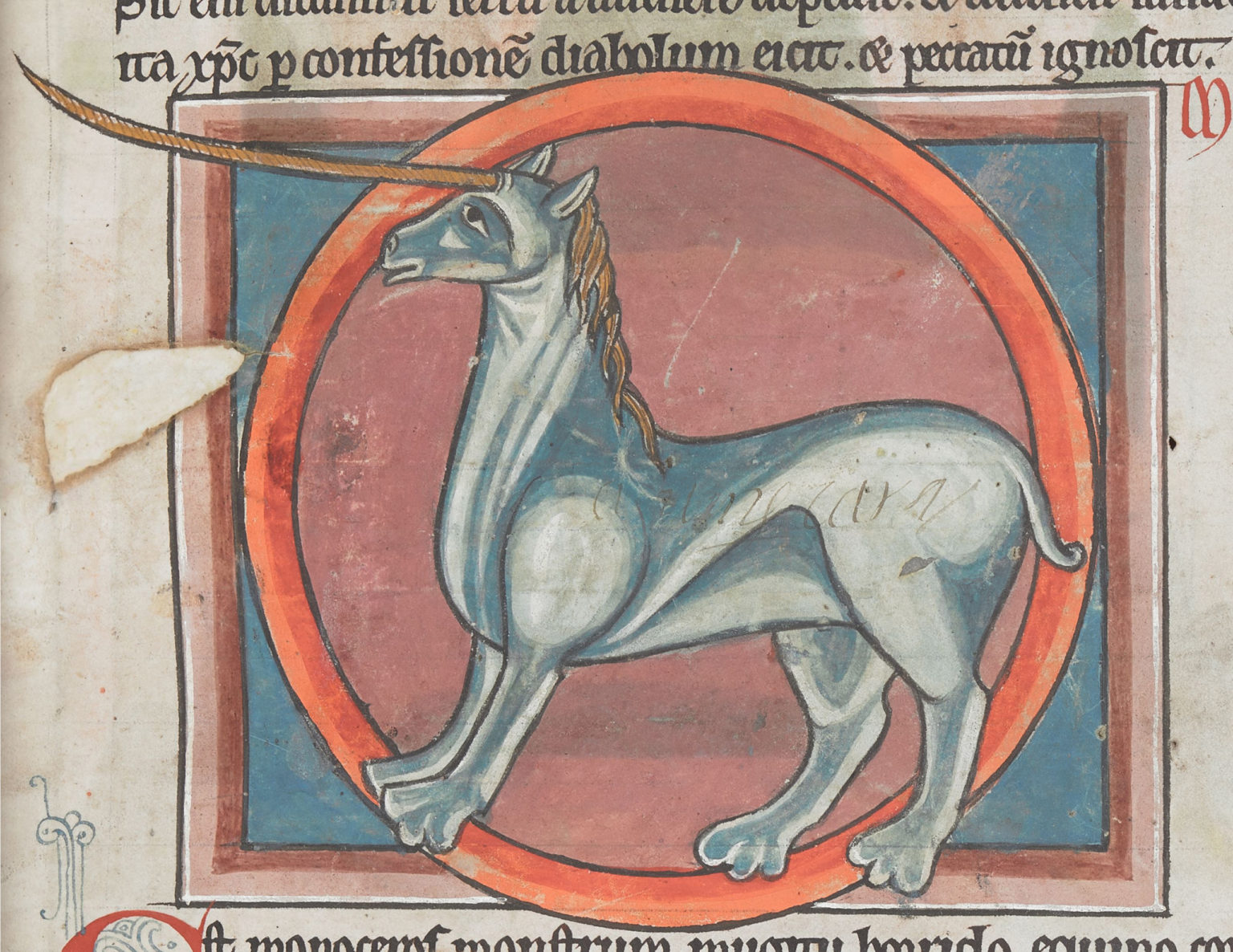 📖 Unicornis et Monoceros | Les légendes de la licorne