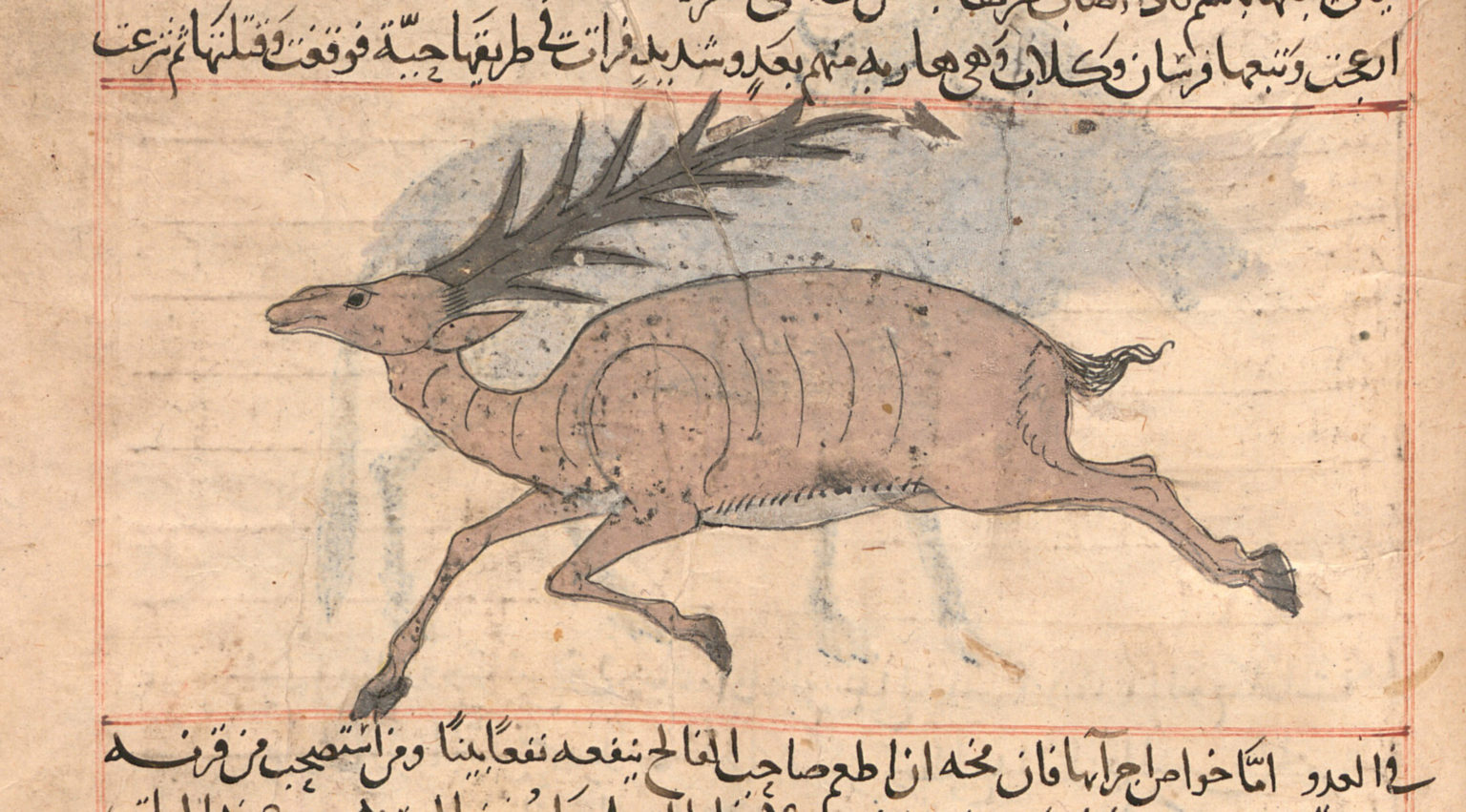 📖 Les unicornes des bestiaires arabes et persans | Les légendes de la ...
