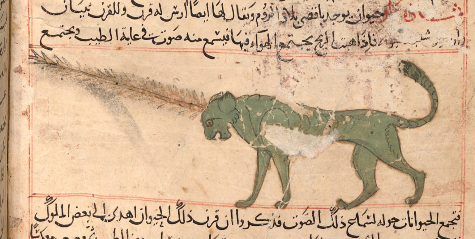📖 Les unicornes des bestiaires arabes et persans | Les légendes de la ...