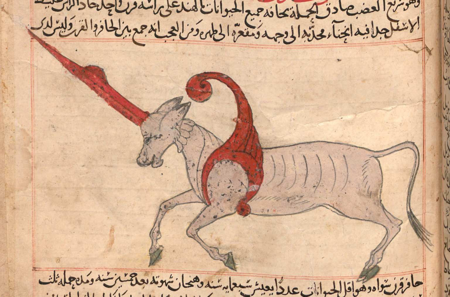 📖 Les unicornes des bestiaires arabes et persans | Les légendes de la ...