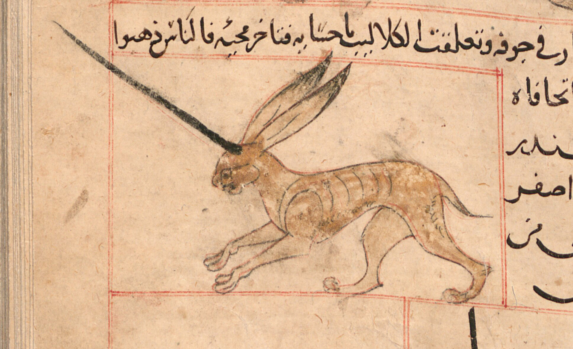 📖 Les unicornes des bestiaires arabes et persans | Les légendes de la ...